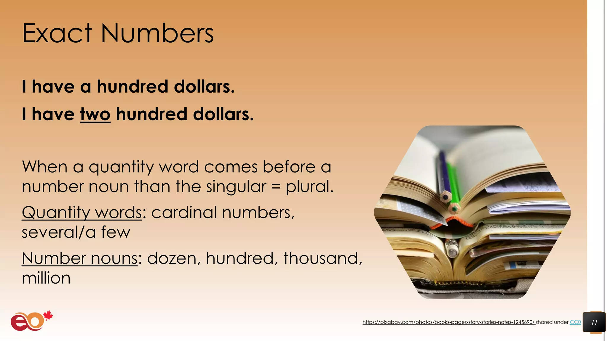 irregular plural nouns | PDF