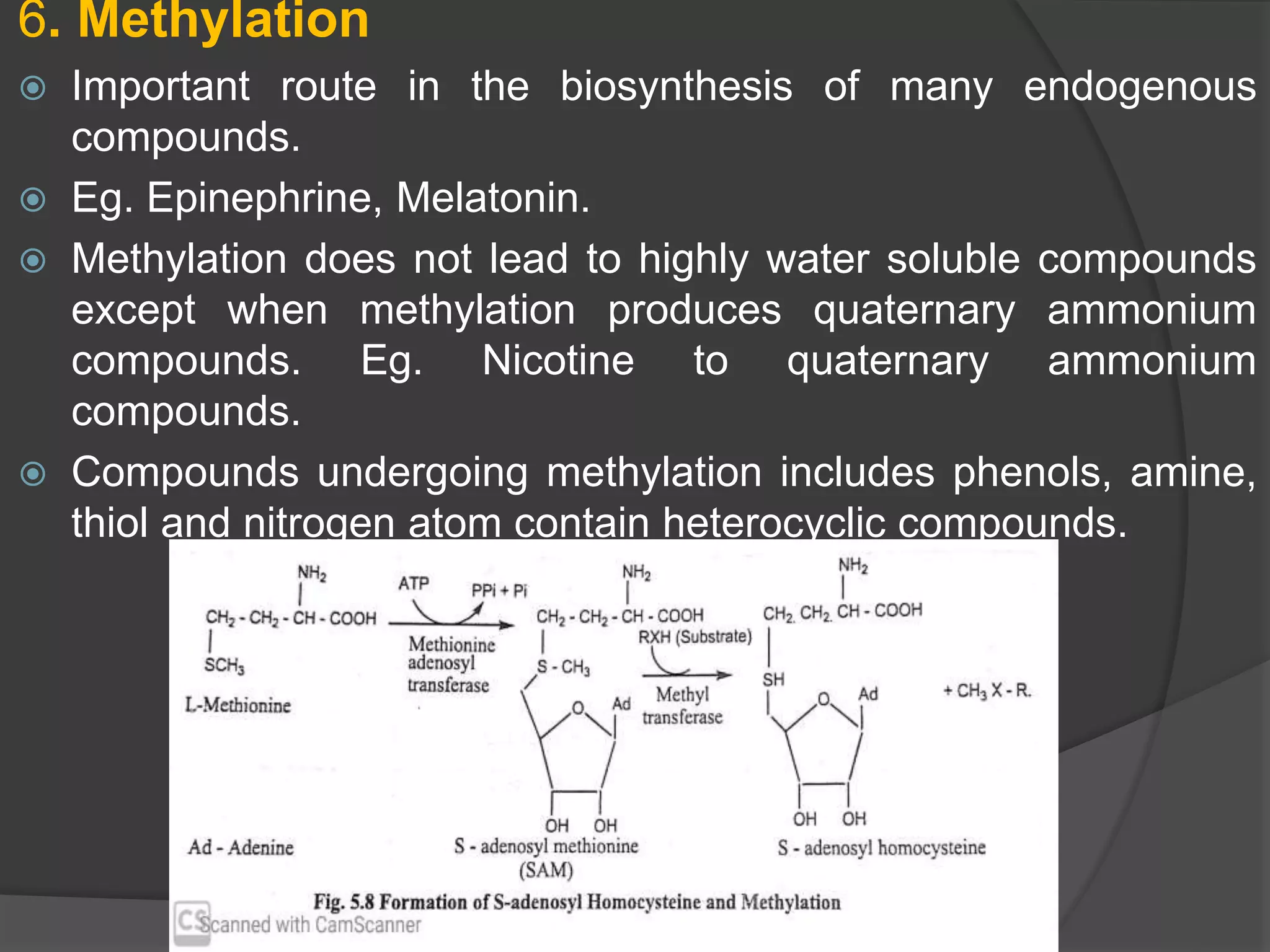 Drug metabolism Phase II reaction | PPTX