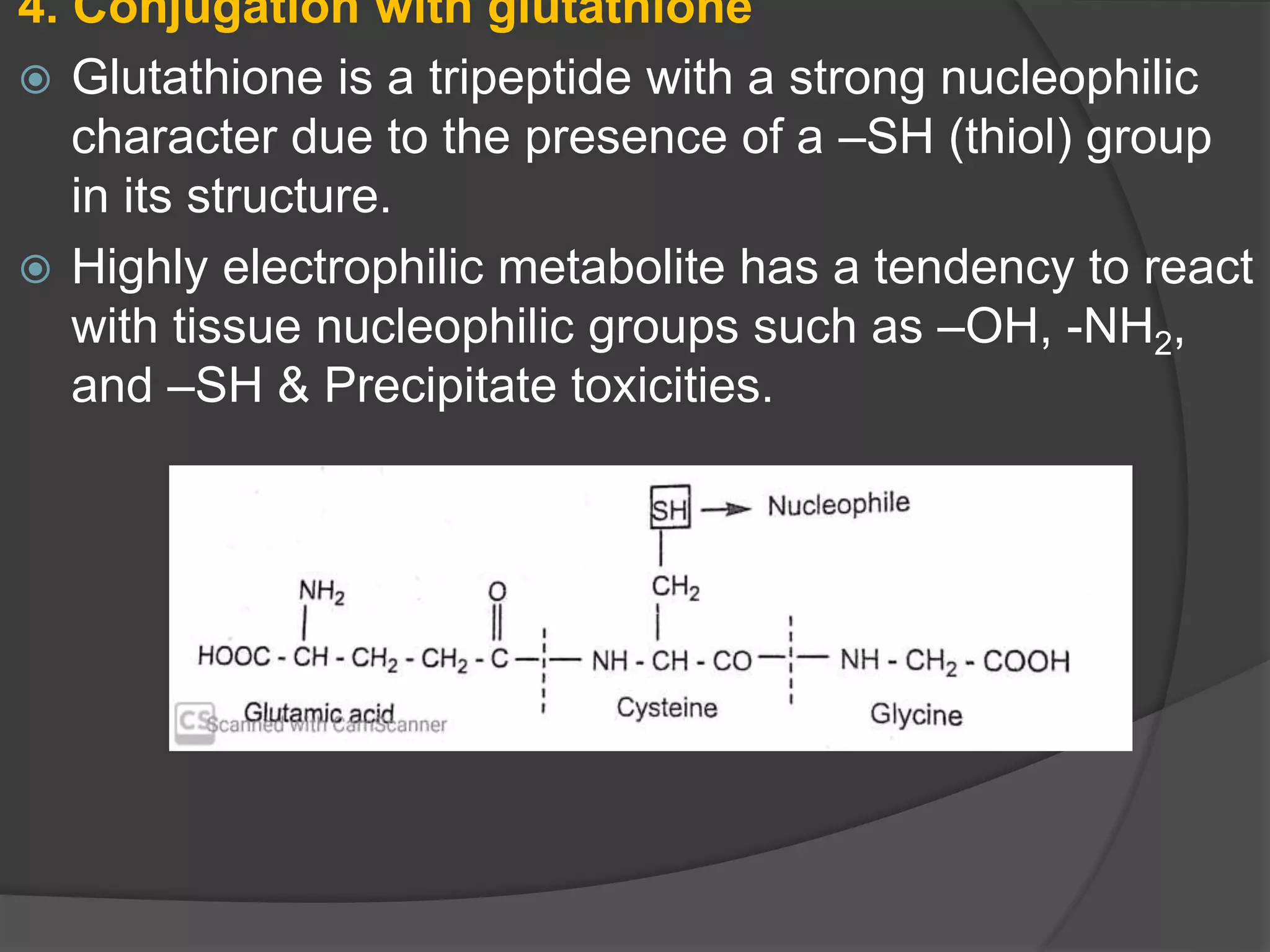 Drug metabolism Phase II reaction | PPTX