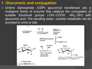 Drug metabolism Phase II reaction | PPTX
