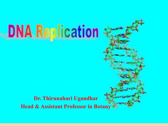 DNA replication | PPT
