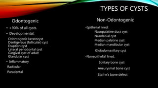 Management of Cysts | PPTX | Dental Health | Diseases and Conditions