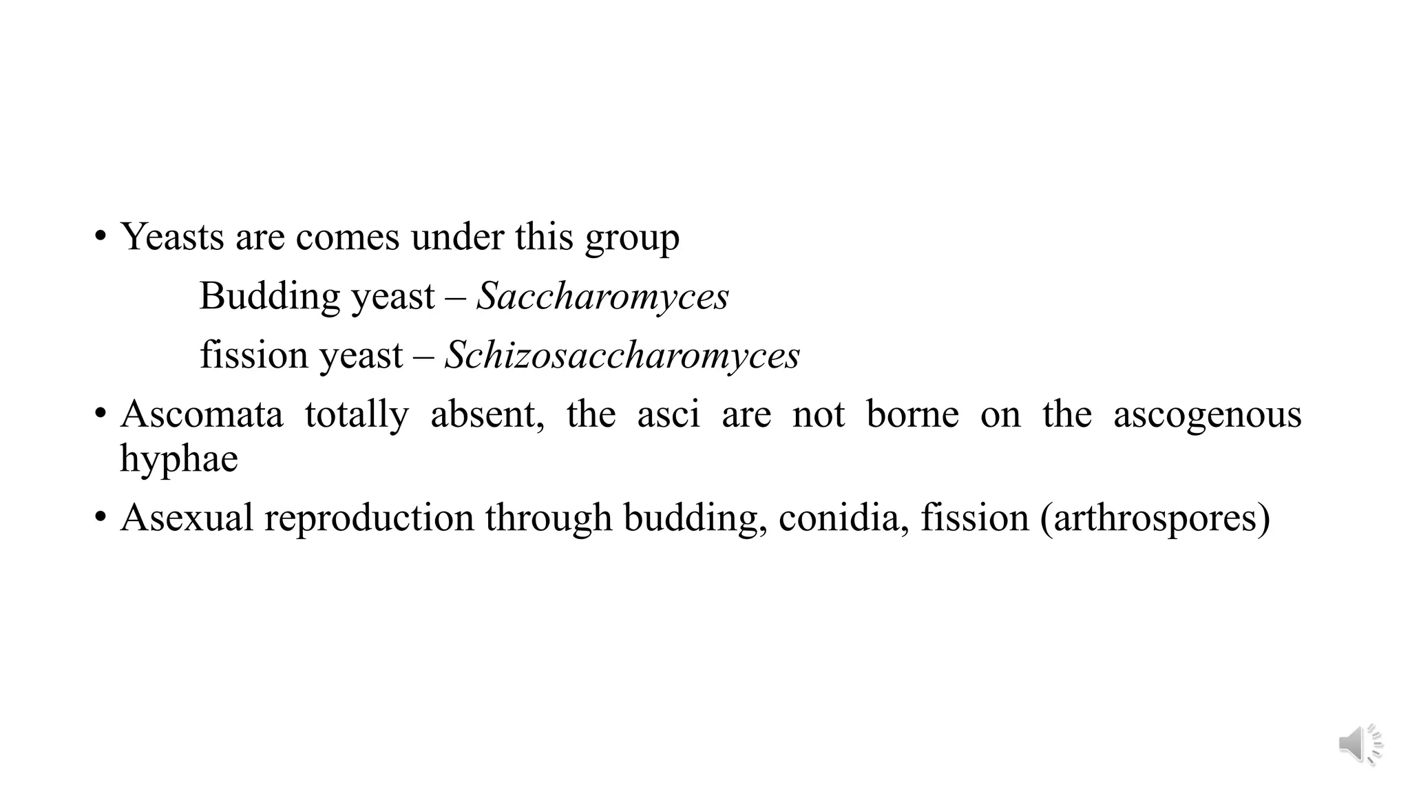 Saccharomycotina | PPT