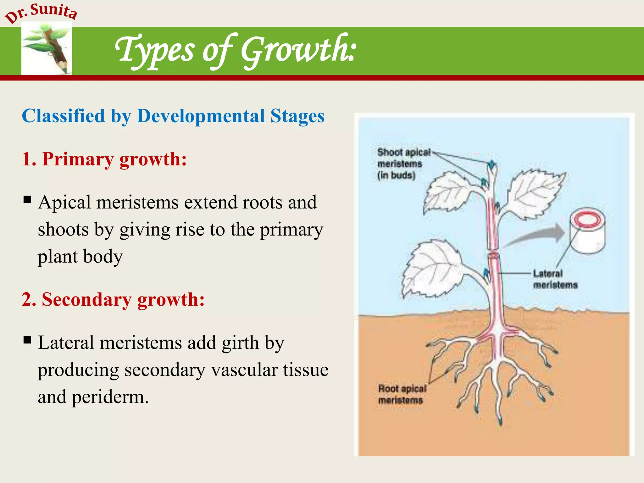 Growth and development | PPTX