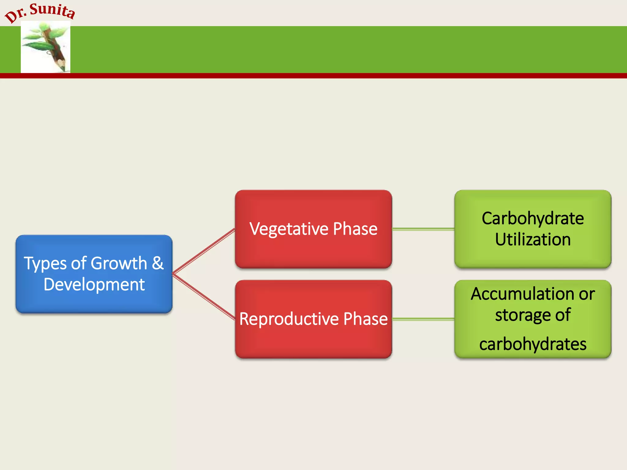 Growth and development | PPTX