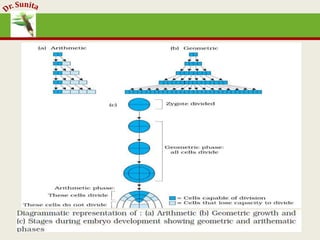 Growth and development | PPTX