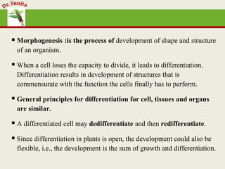 Growth and development | PPTX