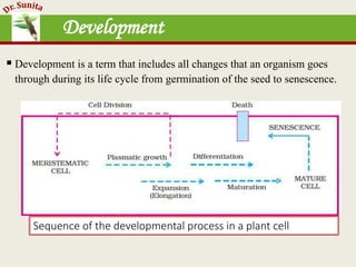 Growth and development | PPTX