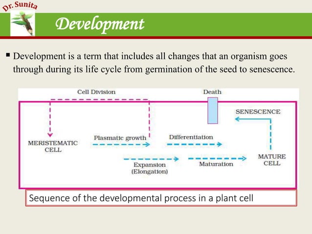 Growth and development | PPTX
