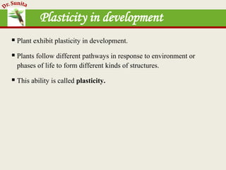 Growth and development | PPTX