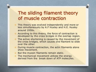 Muscle contraction | PPT