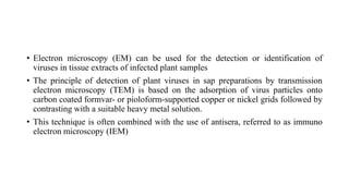 Electron microscopy and production of antisera | PDF