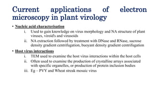 Electron microscopy and production of antisera | PDF