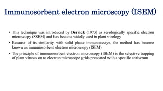 Electron microscopy and production of antisera | PDF