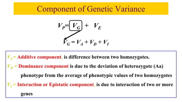 14. components of genetic variation | PPTX | Genetics | Science