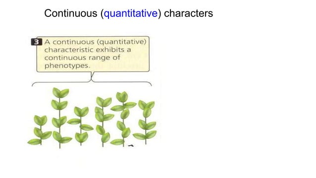 14. components of genetic variation | PPTX | Genetics | Science