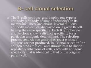 14. cells clonal selection and proliferation 200 | PPT