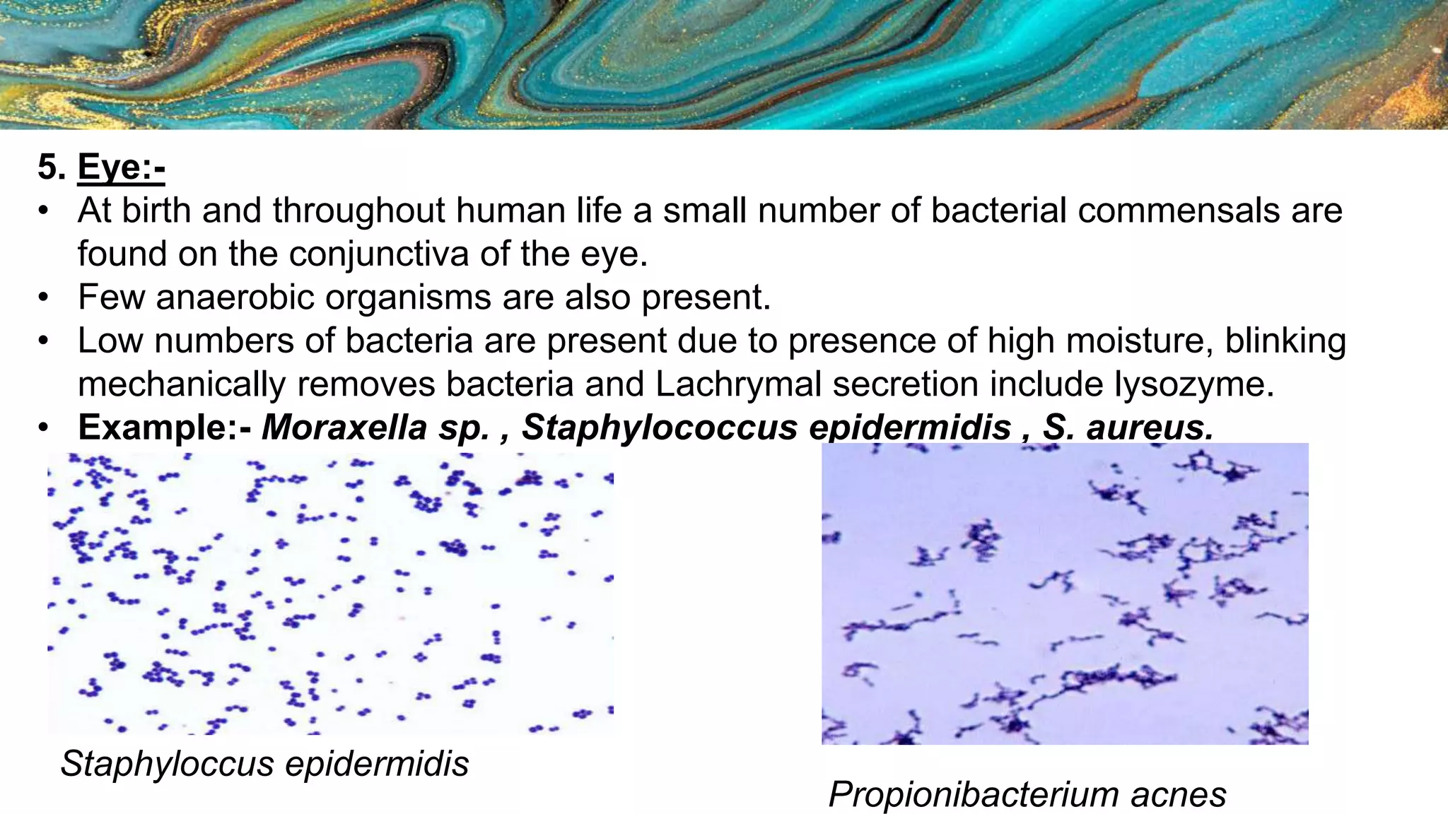 Microflora in human body | PPT