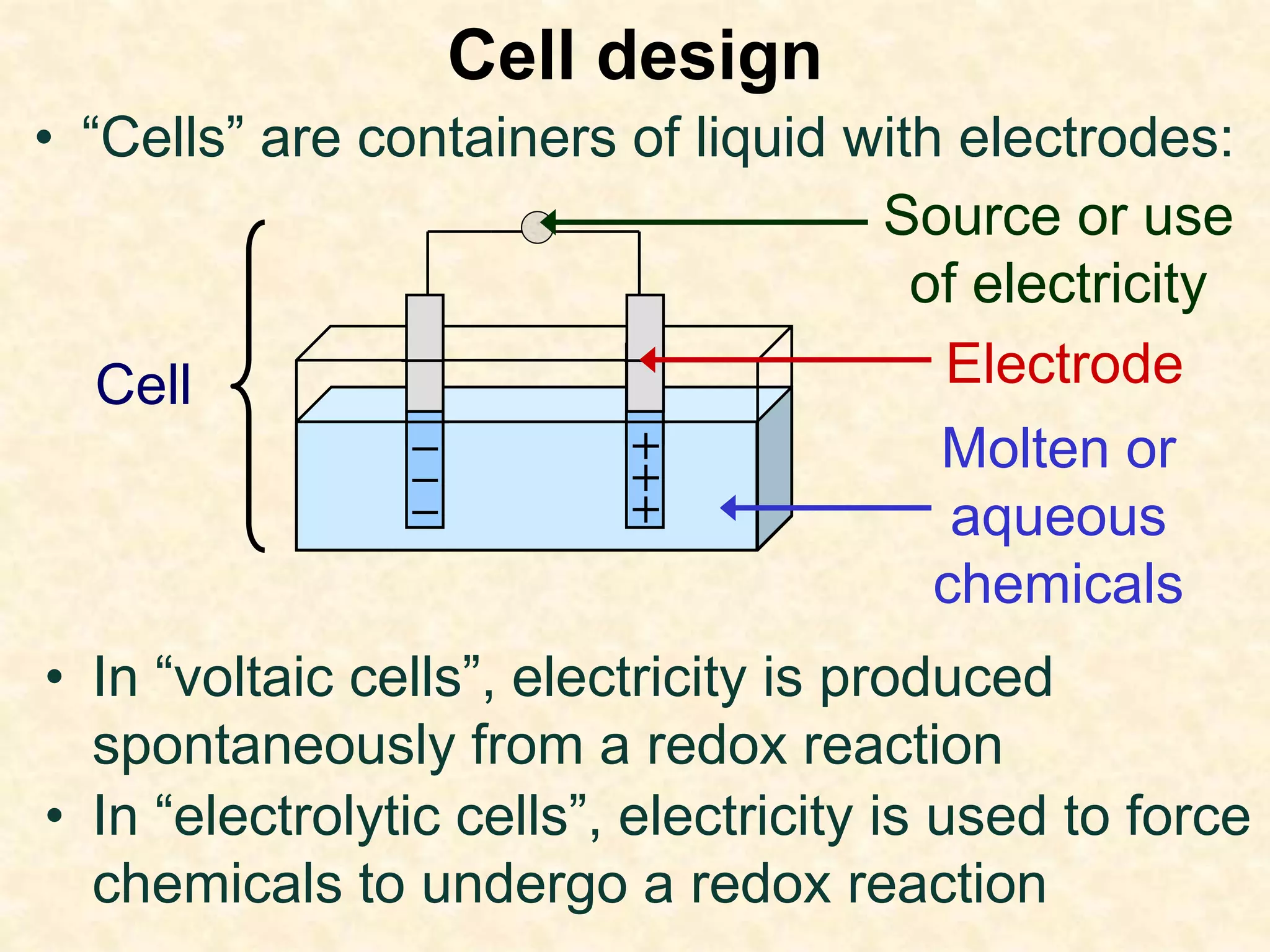 14.1 cells.ppt