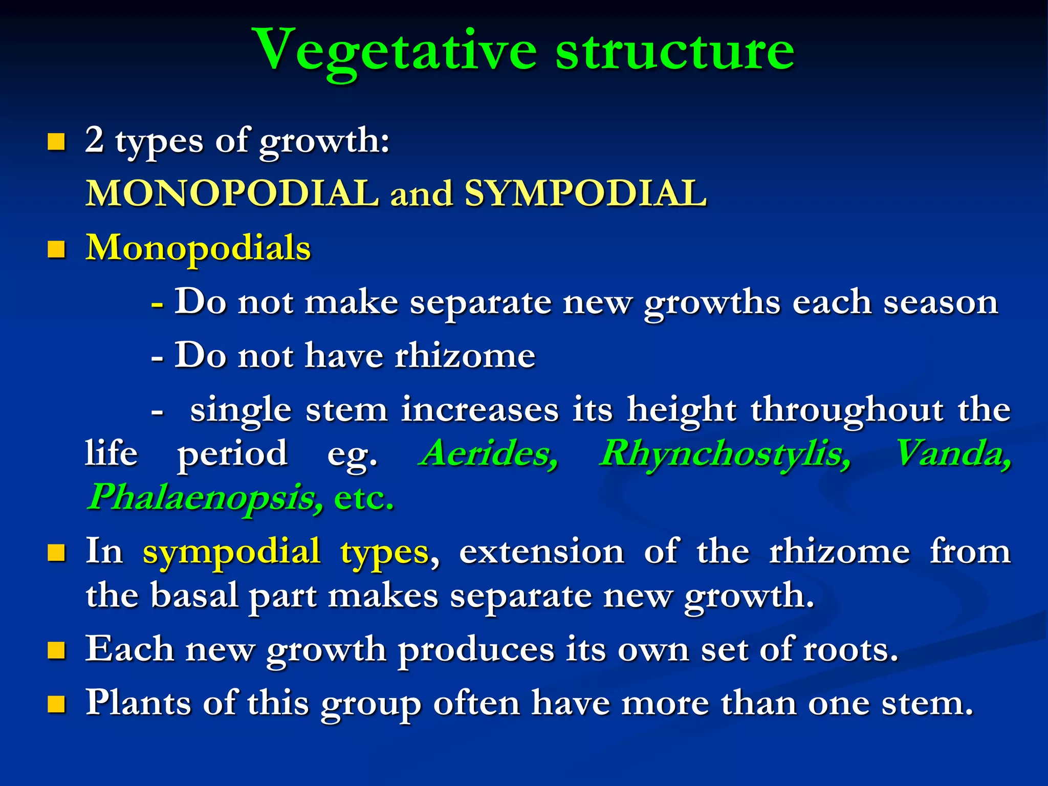 14. Orchid.ppt