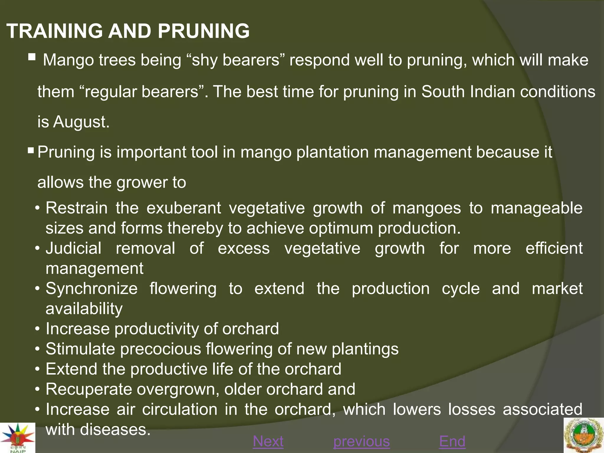 14._High_density_planting_and_canopy_managment_in_mango_0.ppt