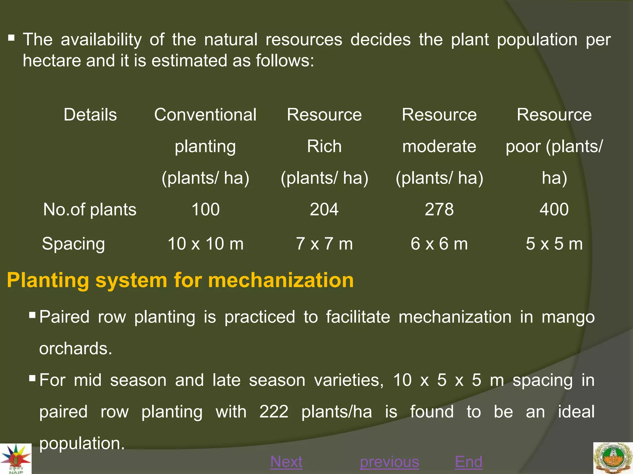 14._High_density_planting_and_canopy_managment_in_mango_0.ppt