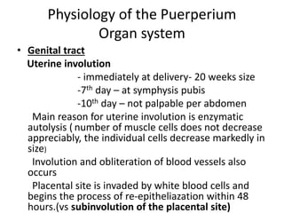 14.NORMAL. AND ABNORMAL PUERPERIUM (2).pptx