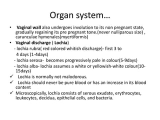 14.NORMAL. AND ABNORMAL PUERPERIUM (2).pptx
