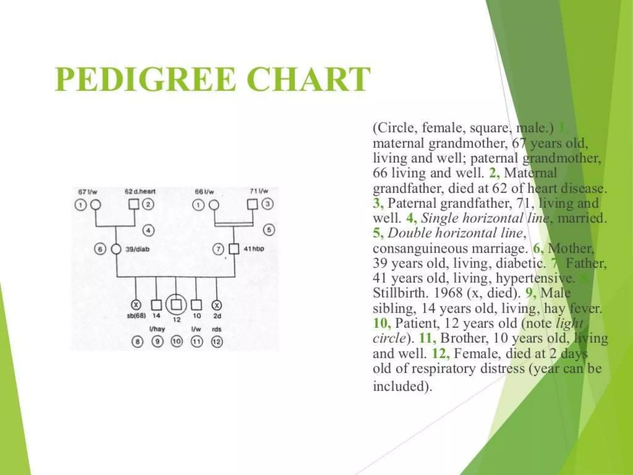14.2 the-pediatric-history-and-physical-examination-42008828.pptx