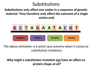 14.4_-_gene_mutations.pptx