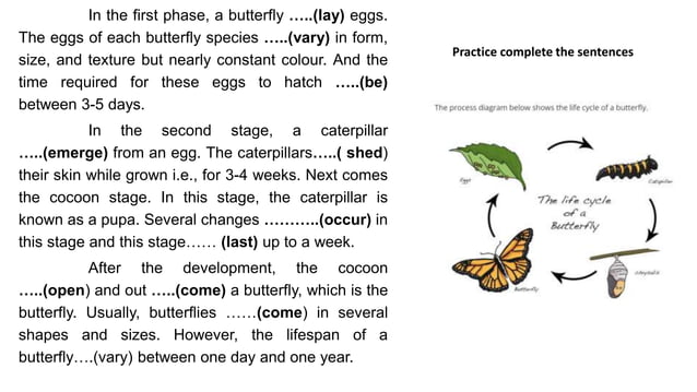 14. describing process.pptx