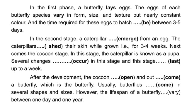 14. describing process.pptx