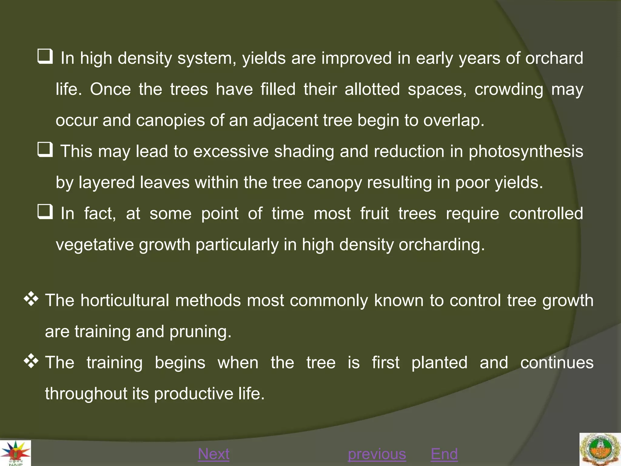 14. High density planting and canopy managment in mango_0.ppt