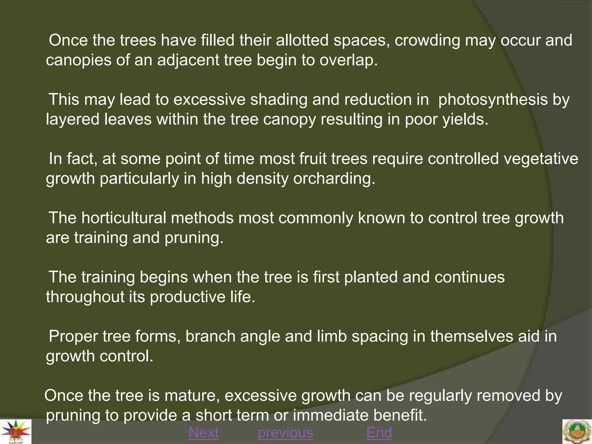 14. High density planting and canopy managment in mango_0.ppt