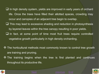 14. High density planting and canopy managment in mango_0.ppt