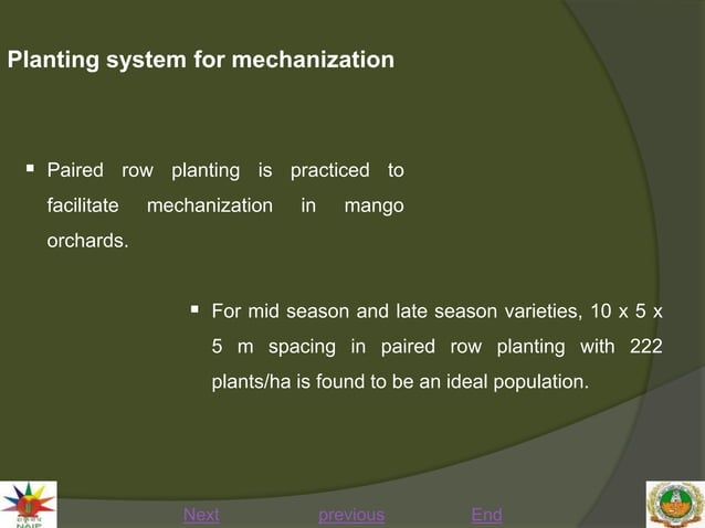 14. High density planting and canopy managment in mango_0.ppt ...