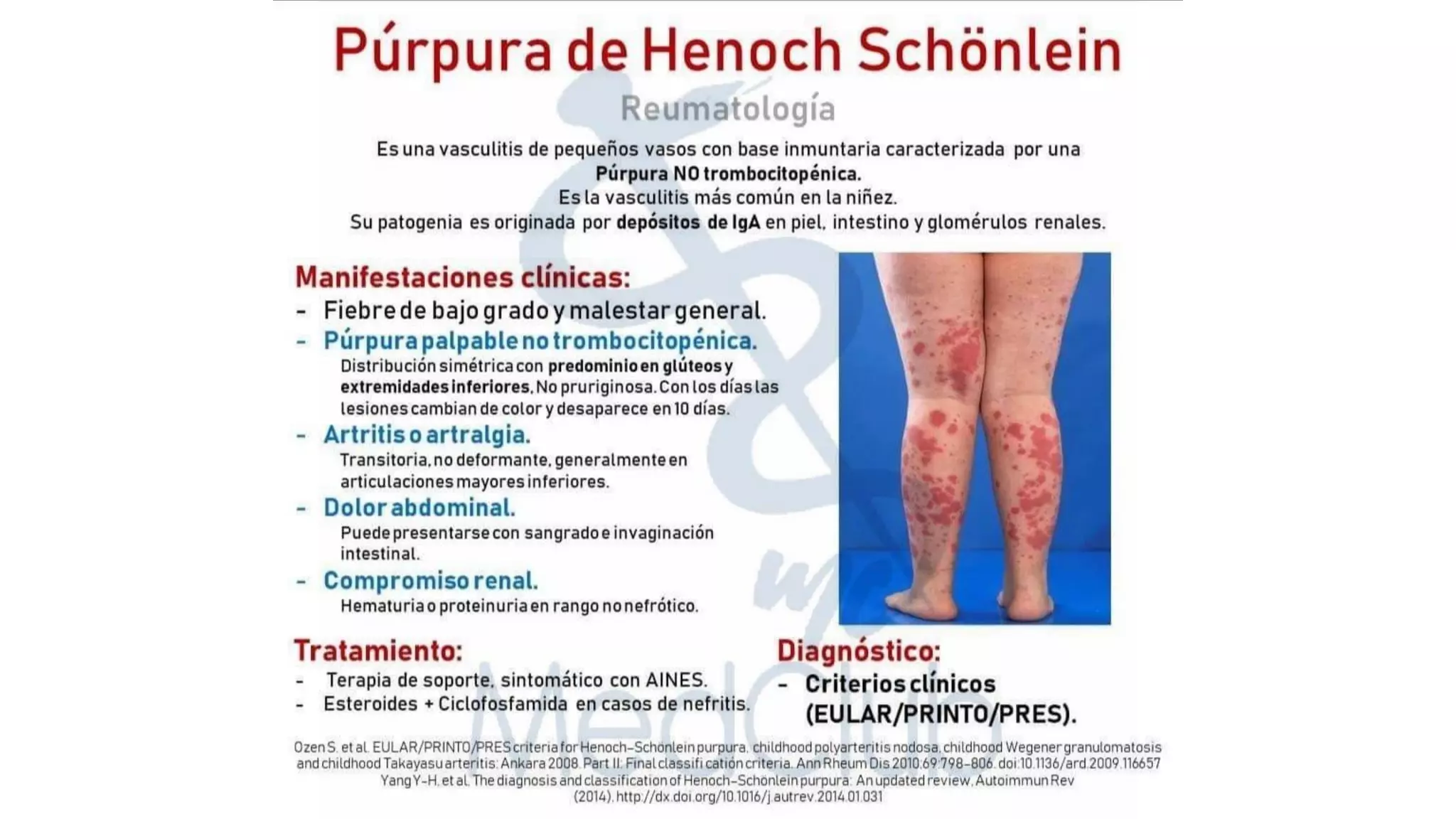 PURPURA DE HENOCH SCHOLEIN.pdf
