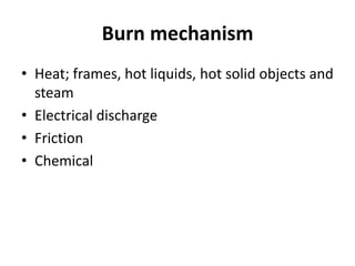 14. Burn Pain_Edt 7th.ppt