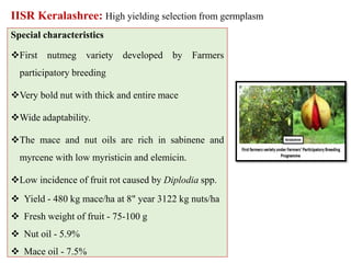 NUTMEG BREEDING.pptx
