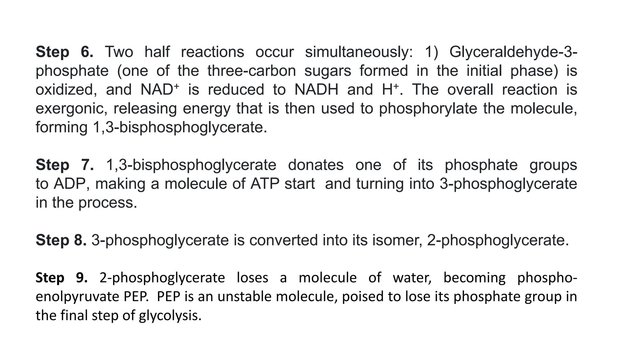 14.glycolysis lecture.pptx