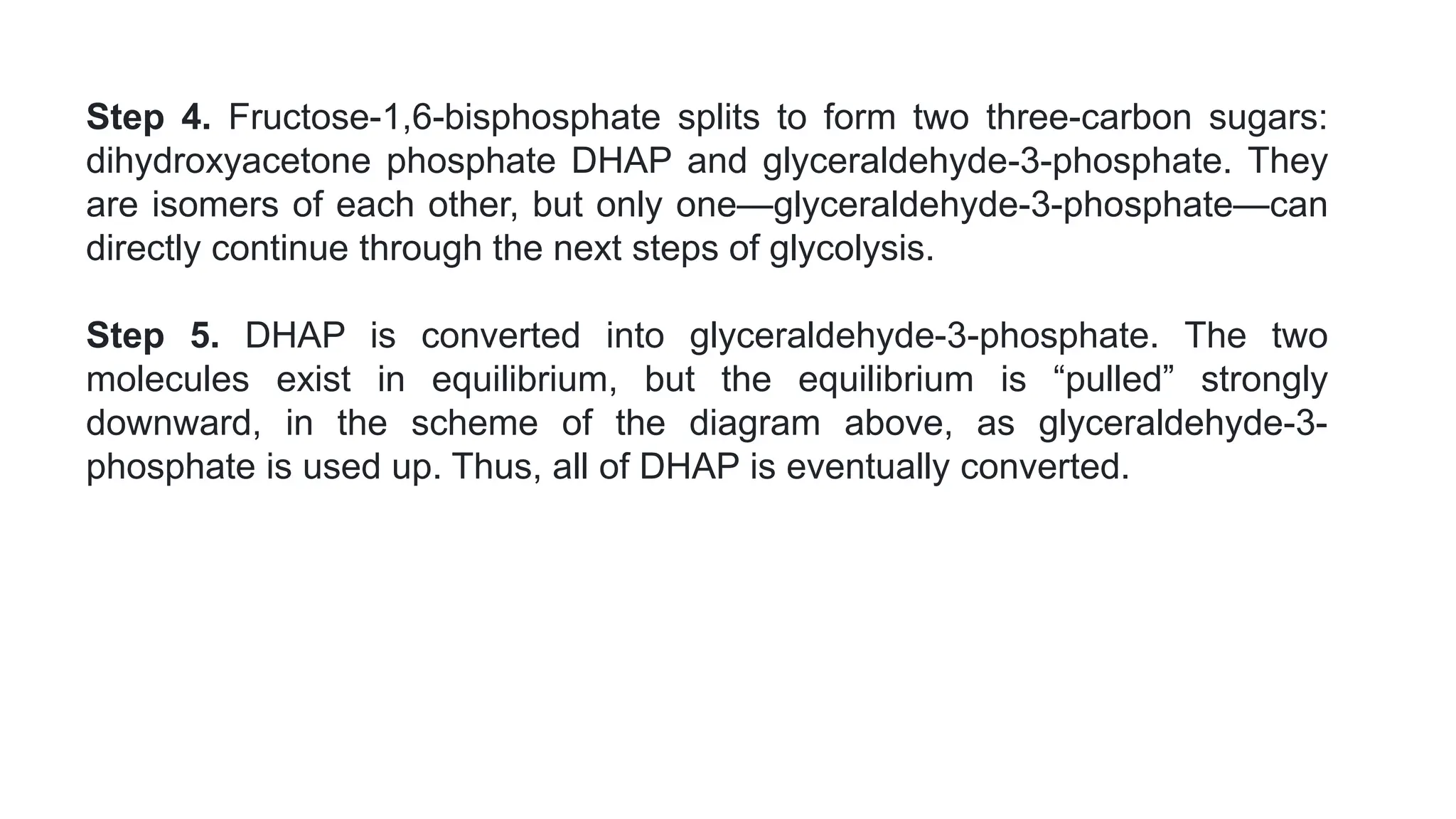 14.glycolysis lecture.pptx