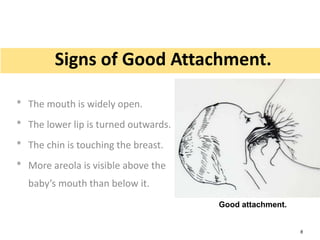 14.0. Breastfeeding The Newborn. 25326442523pptx | PPT