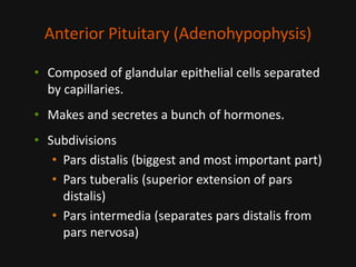 14. endocrine-system (1).pptx and management | PPTX