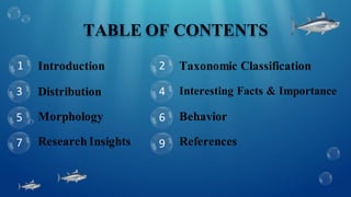 Cod Fish: Introduction and Importance... | PDF | Fish and Aquariums | Pets