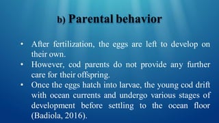 Cod Fish: Introduction and Importance... | PDF | Fish and Aquariums | Pets