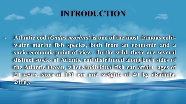 Cod Fish: Introduction and Importance... | PDF | Fish and Aquariums | Pets