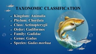 Cod Fish: Introduction and Importance... | PDF | Fish and Aquariums | Pets