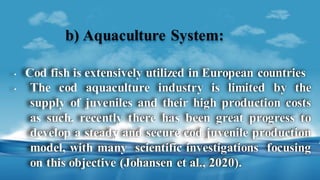 Cod Fish: Introduction and Importance... | PDF | Fish and Aquariums | Pets