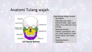 Kuliah Kedokteran Trauma tulang wajah powerpoint | PPTX