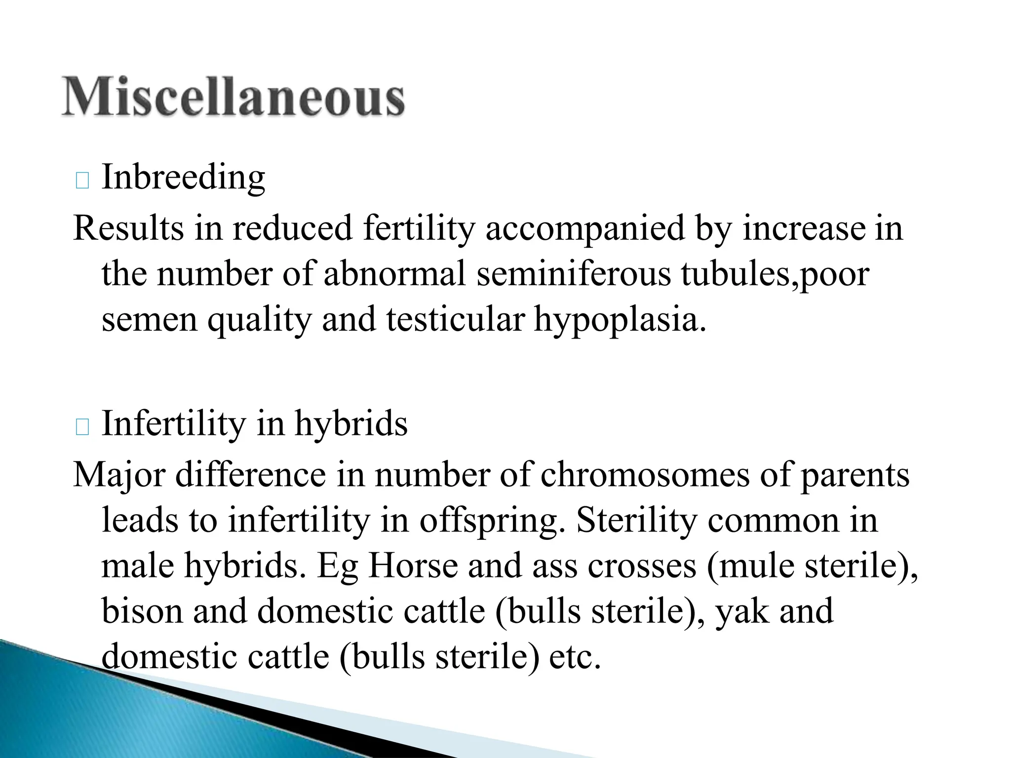 Causes of male infertility in cattle bull-.pptx
